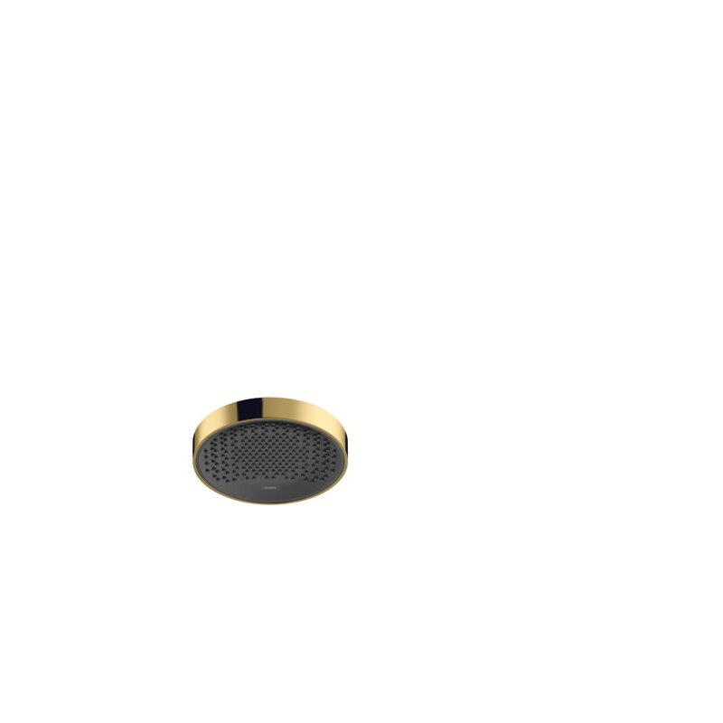 HANSGROHE 26228990 Kopfbrause Rainfinity 250 1jet – HansgroheDirect