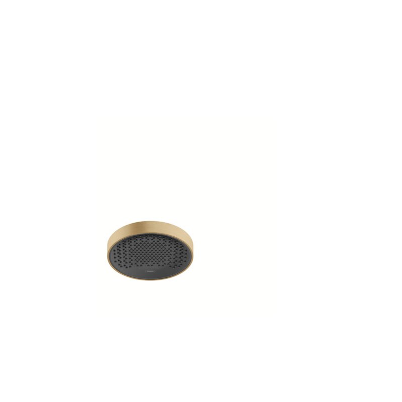 HANSGROHE 26229140 Kopfbrause Rainfinity 250 1jet – HansgroheDirect