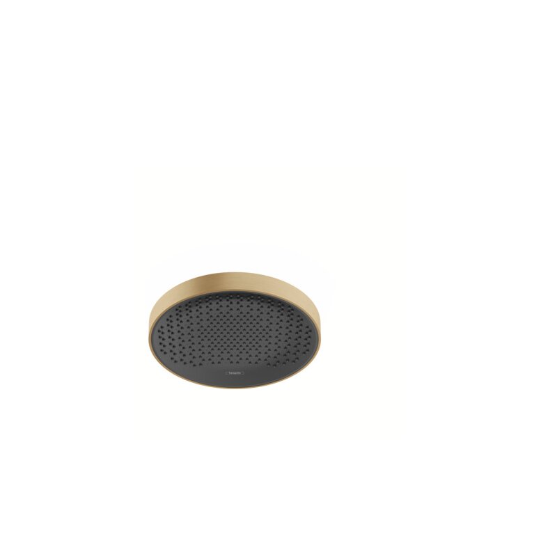 HANSGROHE 26231140 Kopfbrause Rainfinity 360 1jet – HansgroheDirect